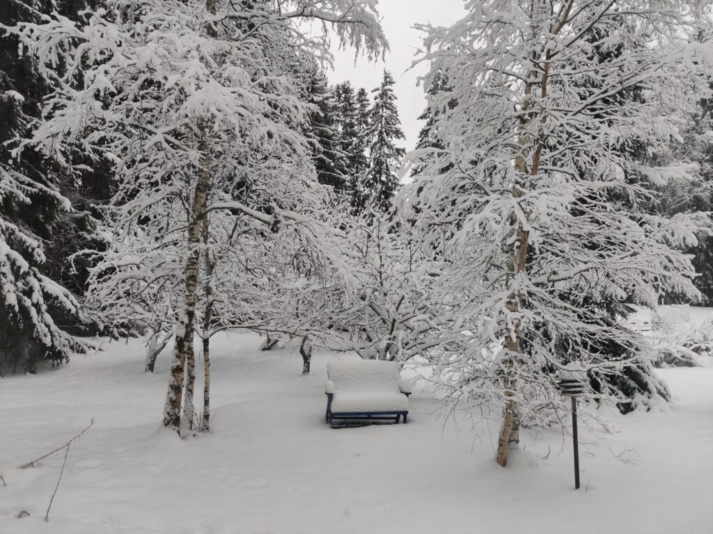 Independence day – Daniel Fischer